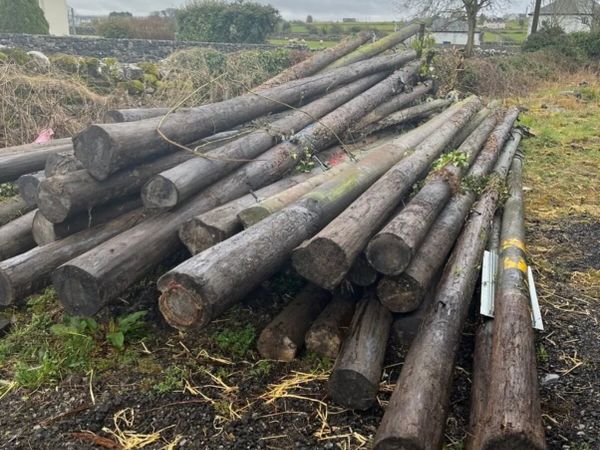 esb poles for sale | 121 All Sections Ads For Sale in Ireland | DoneDeal