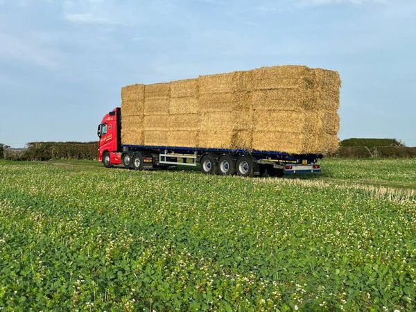 straw bedding | 64 Farming Ads For Sale in Ireland | DoneDeal