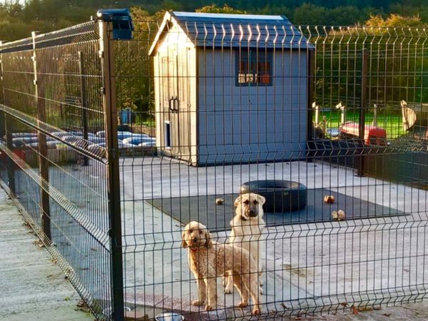 ‼️SALE‼️CLASSY DOG RUNS.. NO VAT for sale in Co. Cork for €1 on DoneDeal