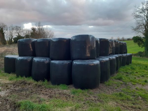 baled silage | 987 Farming Ads For Sale in Ireland | DoneDeal