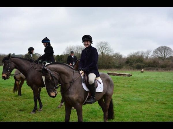 Cobs Ads For Sale in Ireland | DoneDeal