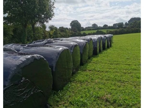Silage for sale in Co. Donegal for €25 on DoneDeal