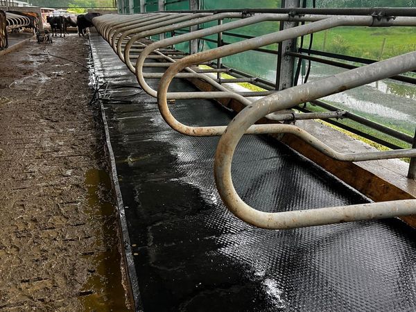relief milker available for sale in Co. Galway for €50 on DoneDeal