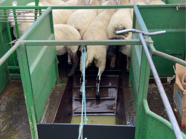 Mobile Plunge Dipping for sale in Co. Armagh for €0 on DoneDeal