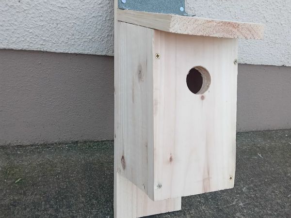 Starling Nest Boxes for sale in Co. Mayo for €18 on DoneDeal Starling Nest Boxes for sale in Co. Mayo for €18 on DoneDeal