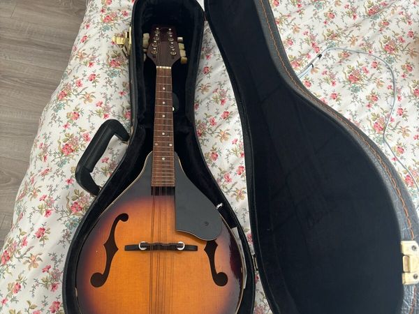 Instruments Ads For Sale in Ireland | DoneDeal