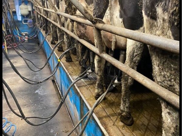 Relief Milker available for sale in Co. Monaghan for €0 on DoneDeal