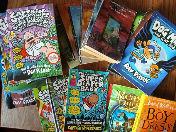 Dav book sale store