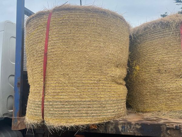 GOOD Hay silage rounds straw molasses 24/7 for sale in Co. Galway for € ...