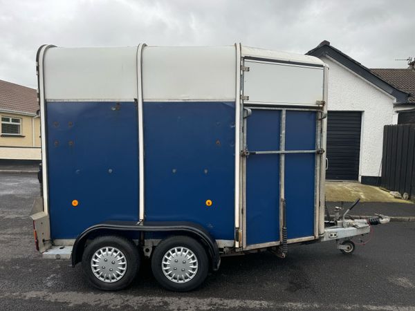 Ifor Williams 505 Horse box for sale in Co. Derry for £2,300 on DoneDeal