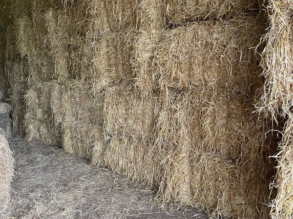 8ft x4ft Barley straw for sale in Co. Clare for €85 on DoneDeal