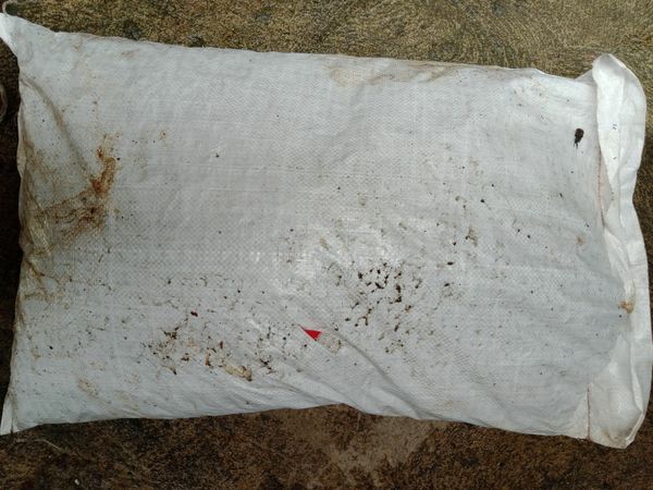 25kg bag Hayes singles coal for sale in Co. Cork for €15 on DoneDeal