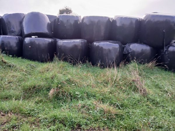 Silage bales for sale in Co. Clare for €25 on DoneDeal