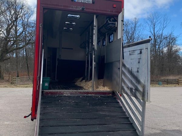 2005 MAN 18 ton 390 hp Auto 6 Horse Ali plank for sale in Co. Sligo for ...