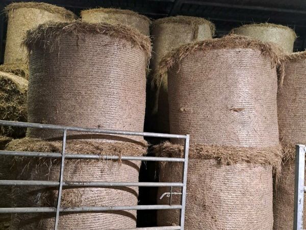 Round bales of hay for sale in Co. Cork for €20 on DoneDeal