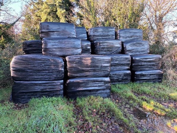 Wrapped Silage Bales for sale in Co. Louth for €65 on DoneDeal