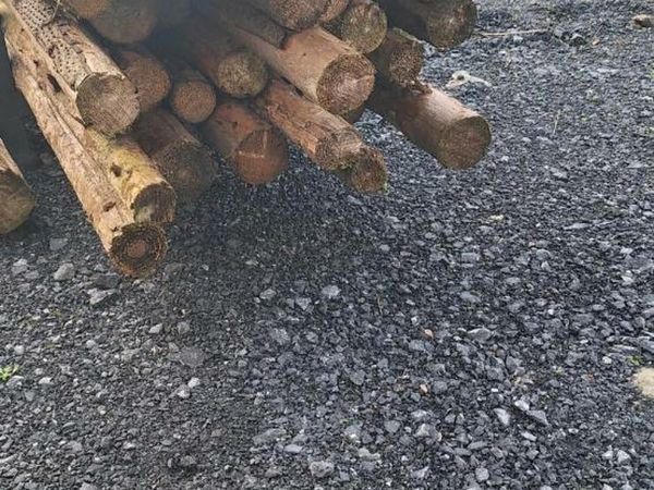 Scout spars/pioneer poles for sale in Co. Kilkenny for €5 on DoneDeal