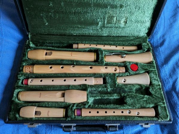 Recorders in case - Soprano, Alto, Tenor for sale in Co. Galway for €88 ...