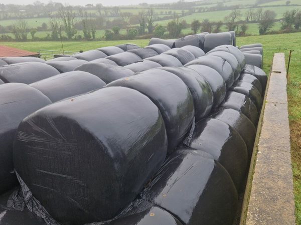 Silage Bales for Silage for sale in Co. Cork for €40 on DoneDeal