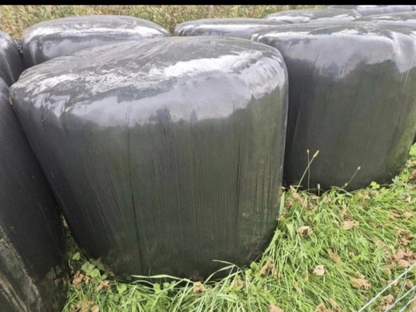 Silage Bales for sale in Co. Donegal for €30 on DoneDeal
