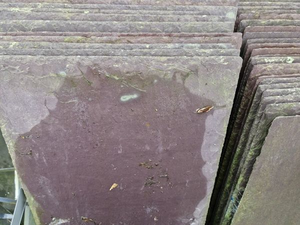 Bangor blue slates for sale in Co. Monaghan for £4 on DoneDeal