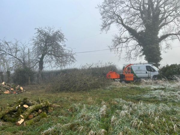 Tree surgeon for sale in Co. Dublin for €1 on DoneDeal
