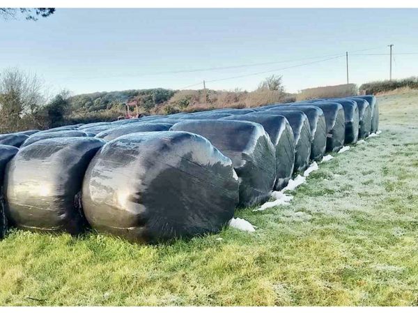 Silage Bales for sale in Co. Clare for €30 on DoneDeal