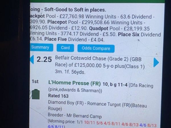 T.B gelding for sale in Co. Limerick for €3,200 on DoneDeal