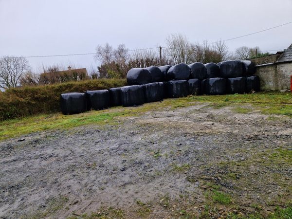 Silage for sale in Co. Limerick for €35 on DoneDeal