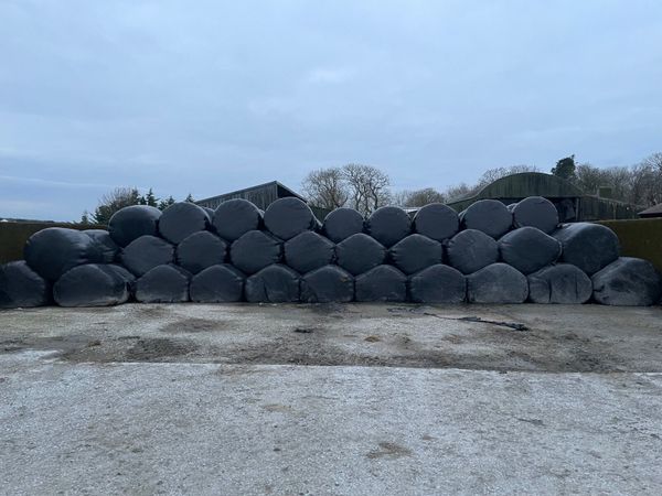 Silage Bales for sale for sale in Co. Limerick for €35 on DoneDeal