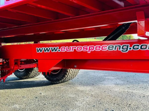 14FT X 8FT Eurospec trailer for sale in Co. Donegal for €11,400 on DoneDeal