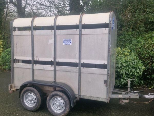 8x5 cattle trailer excellent condition for sale in Co. Kilkenny for € ...