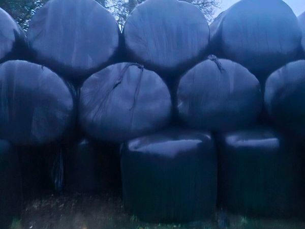 Round bales silage for sale in Co. Cavan for €25 on DoneDeal