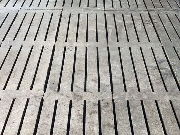 28 Gang Slats for sale in Co. Derry for £130 on DoneDeal