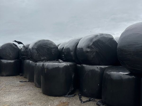 Silage Bales for sale in Co. Clare for €30 on DoneDeal