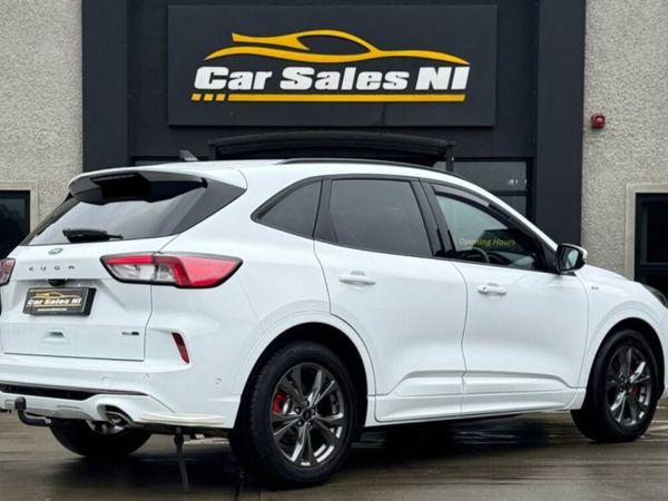 Ford Kuga 2.0 Ecoblue Mhev St-line First Edition for sale in Co. Tyrone ...