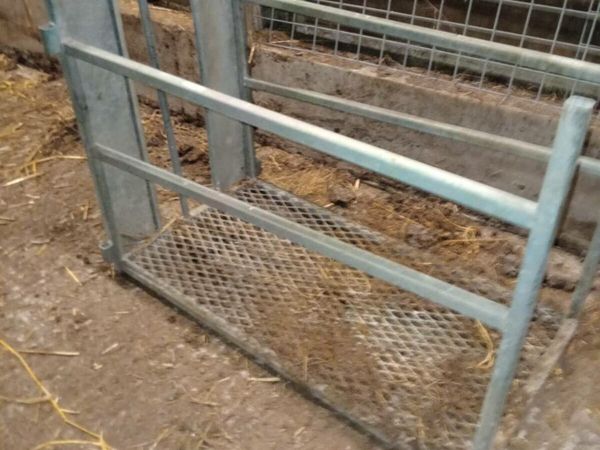 Lamb automatic feeder , adoption crate for sale in Co. Roscommon for €1 ...