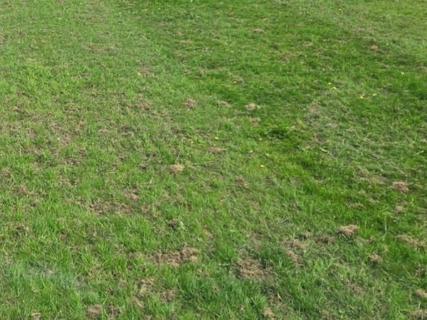 Reseeding / Grass stitching for sale in Co. Meath for €45 on DoneDeal