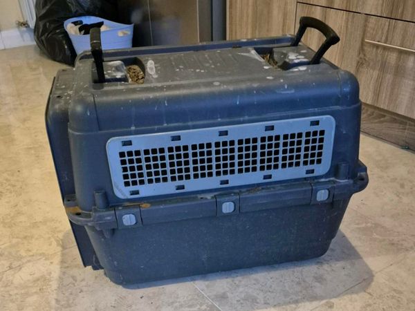 large dog box Dublin15 blanchardstown my contact for sale in Co. Dublin ...