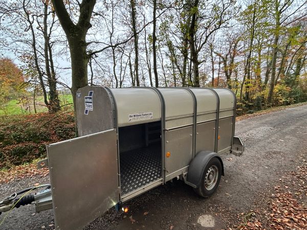 Ifor Williams P8 Calf and Sheep Trailer 8x4 for sale in Co. Kildare for ...