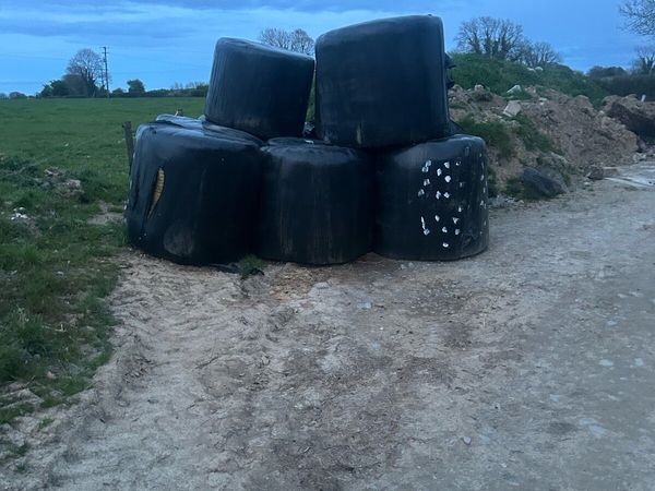 150 bales of silage 1000 euro for lot for sale in Co. Roscommon for €10 ...