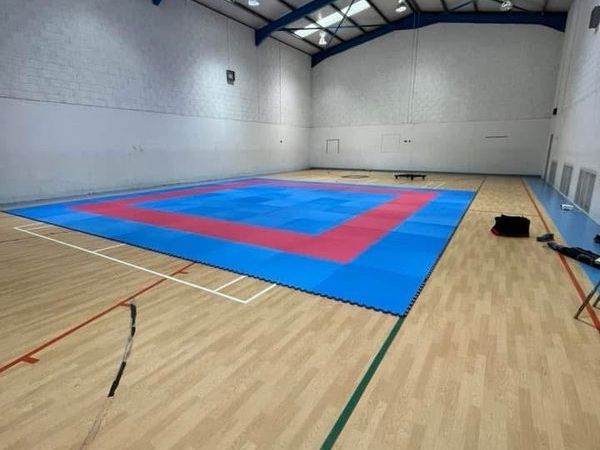 Karate tatami. Barely used. Full set of 100. 20mm red/blue reversible ...