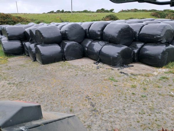 Hay and silage for sale in Co. Clare for €35 on DoneDeal