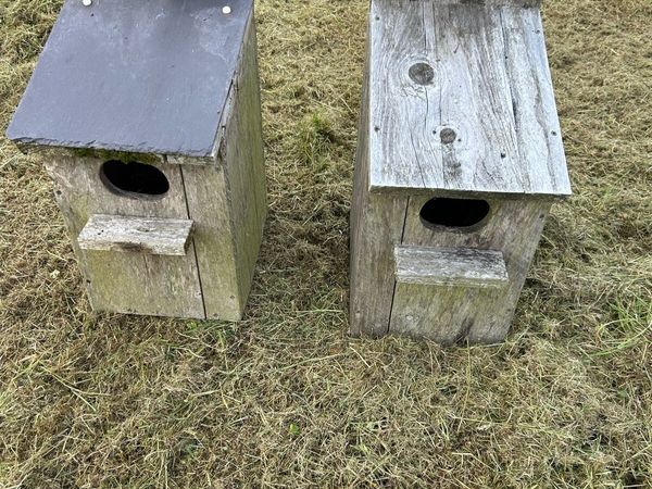 Mandarin duck nest boxes for sale in Co. Clare for €50 on DoneDeal