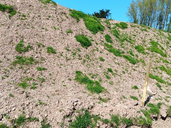 Top soil and sub soil for sale in Co. Cork for €0 on DoneDeal