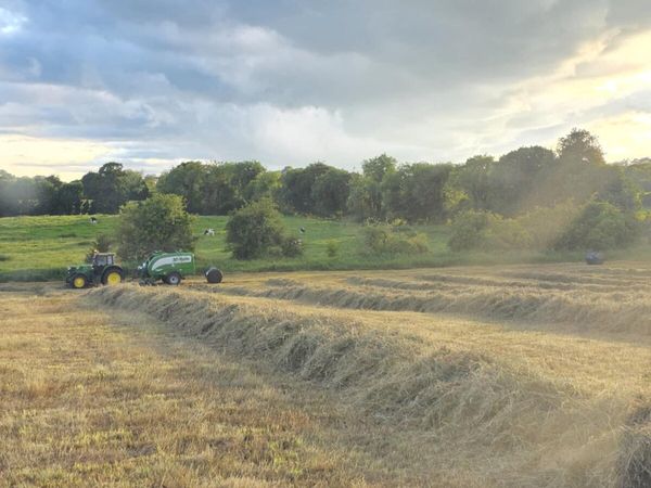 69 Bales of top class silage for sale in Co. Meath for €40 on DoneDeal