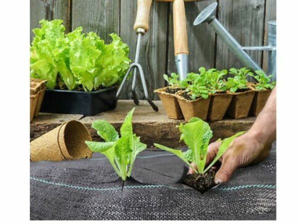 Weed Protection 100gsm – 3.0m x 50m for sale in Co. Cork for €119 on ...