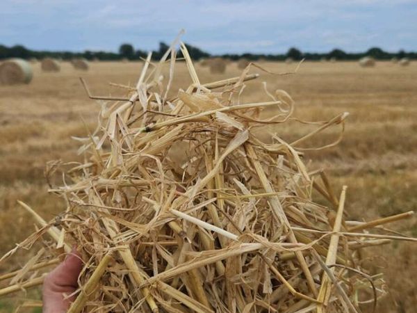 Round bales of barley straw for sale in Co. Galway for €30 on DoneDeal