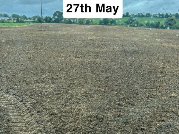 Direct drilling / Grass stitching for sale in Co. Longford for €60 on ...