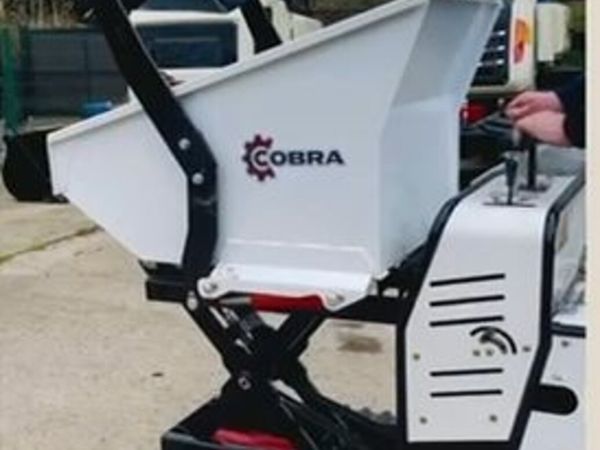 Skid Steer & High Tip Mini Dumper for sale in Co. Tipperary for €1,234 ...